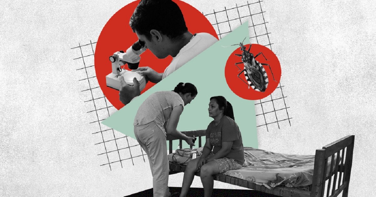 Chagas: cómo hacer visible la enfermedad desatendida más importante de ...