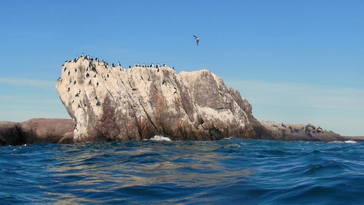 En el Día de la Patagonia, 10 fotos para enamorarse de los paisajes del sur - Diario Río Negro