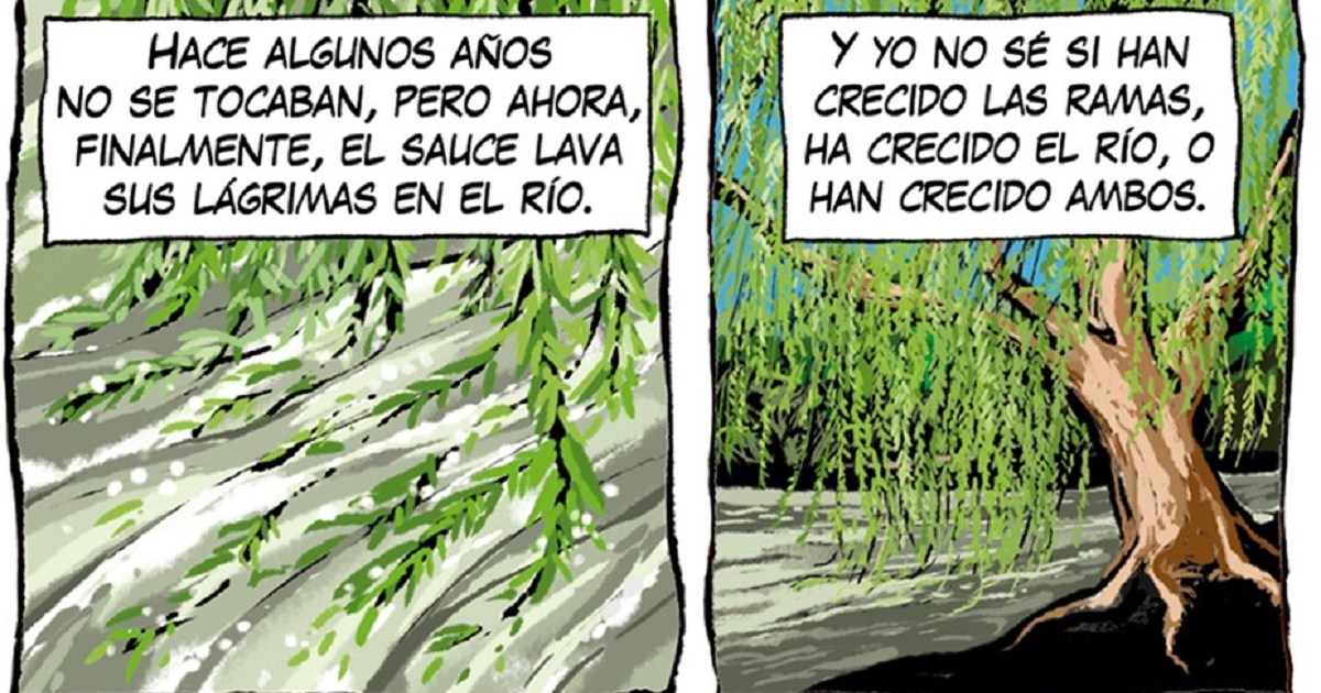 «El sauce y el río», la nueva tira de Chelo Candia - Diario Río Negro