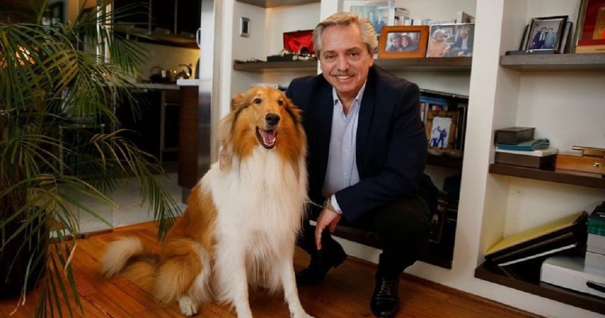 Conan y Dylan, los perros de Javier Milei y Alberto Fernández que se ...