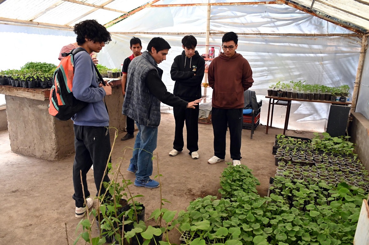 Expo Curza en Viedma: cuál es la oferta académica de la Universidad del ...