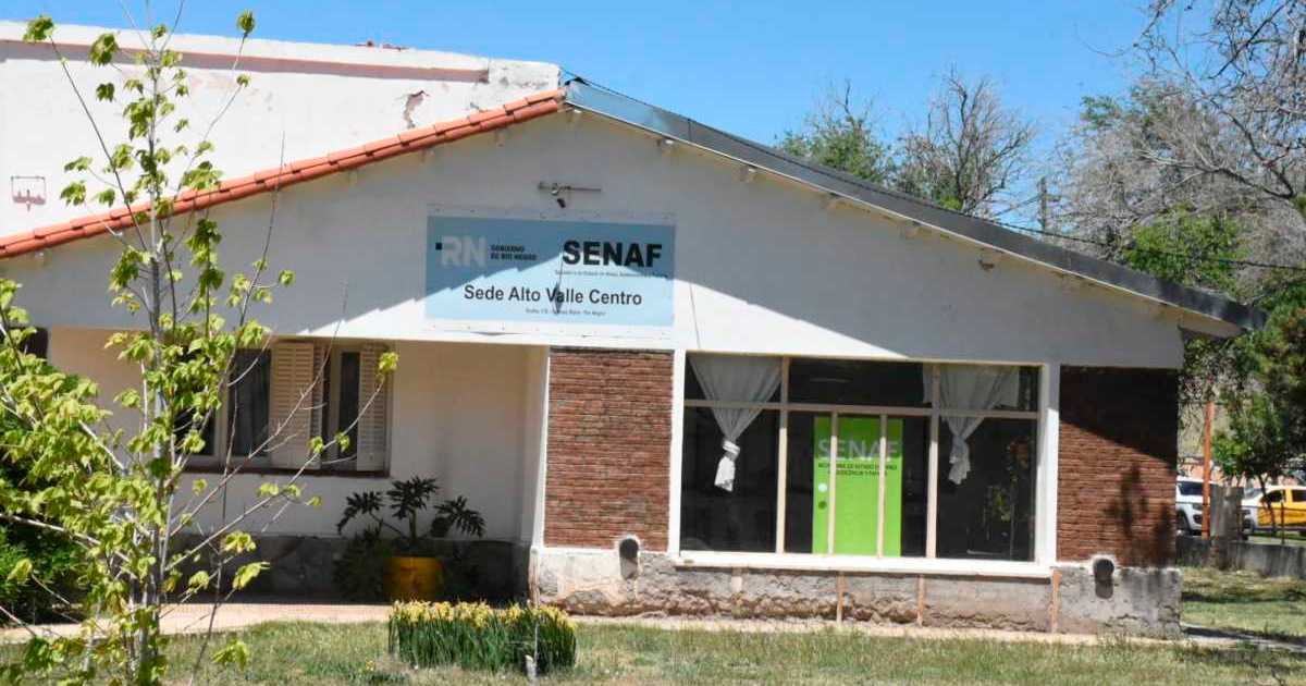 Grave denuncia contra dos operadores de Senaf que habrían sometido a ...