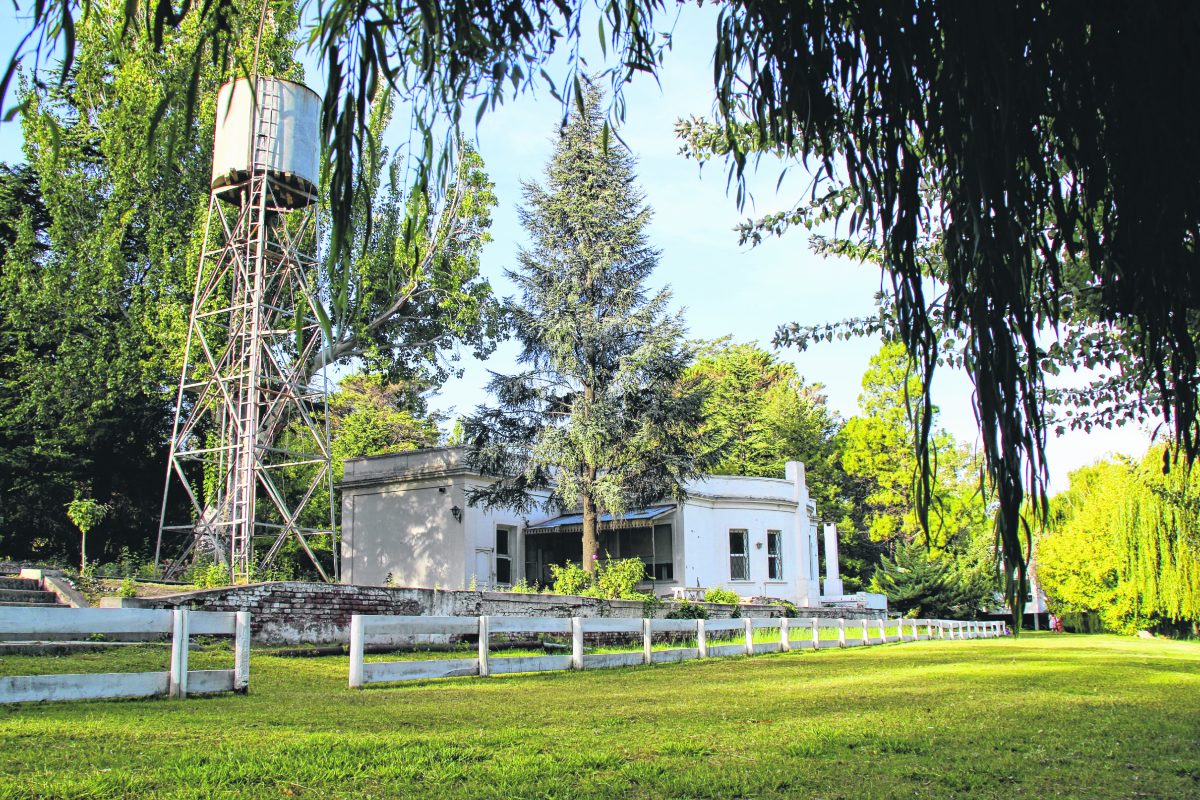 La casa de Plottier, un paraíso urbano - Diario Río Negro