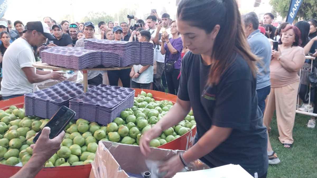 Arrancó la Fiesta Nacional de la Pera en Allen y se extiende hasta el ...