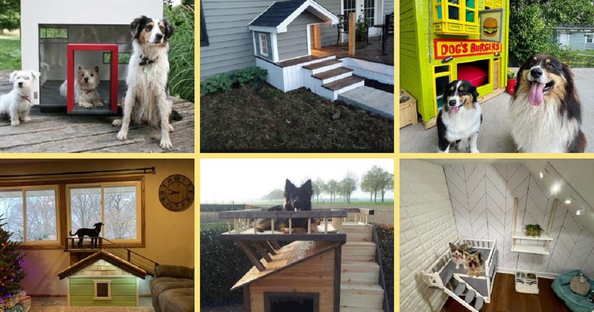 10 ejemplos de arquitectura perruna que te van a hacer decir «guau ...