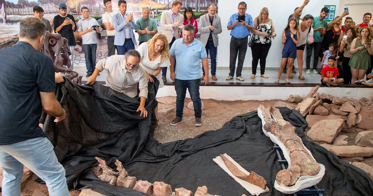 Perla paleontológica: presentaron un dinosaurio herbívoro en El Chocón ...
