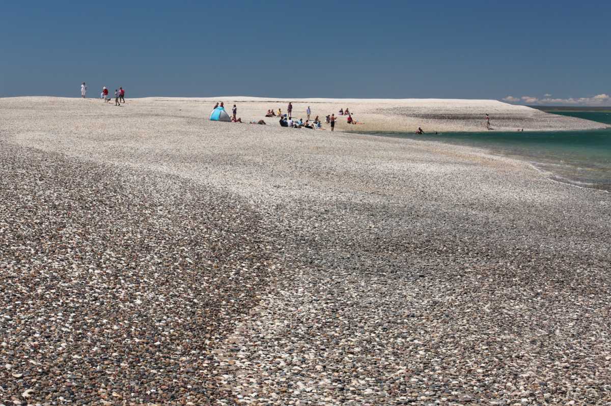 Punta Perdices: así es el Caribe de la Patagonia, la playa que la rompe ...