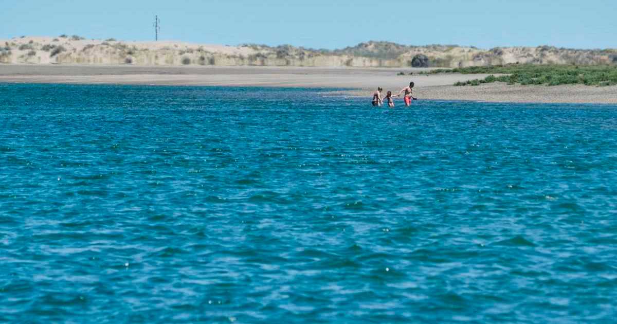 Punta Perdices: así es el Caribe de la Patagonia, la playa que la rompe ...