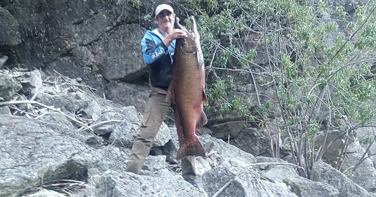 Video | Así pescó un salmón de 22,5 kilos en un paraíso de la Patagonia ...