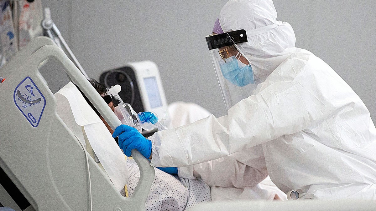 Streptococcus pyogenes: cuáles son los síntomas, cómo se contagia y qué ...