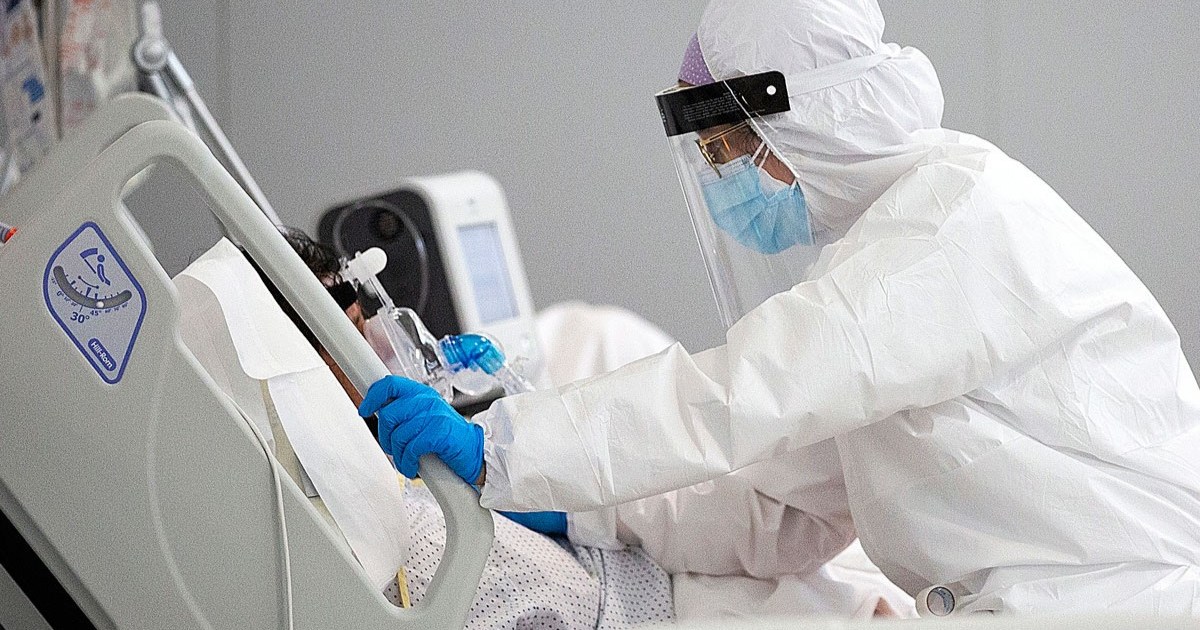 Streptococcus pyogenes: cuáles son los síntomas, cómo se contagia y qué ...