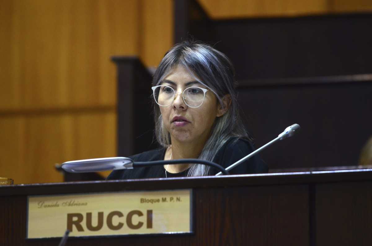 Daniela Rucci defendió el proyecto para que diputados trabajen virtual ...