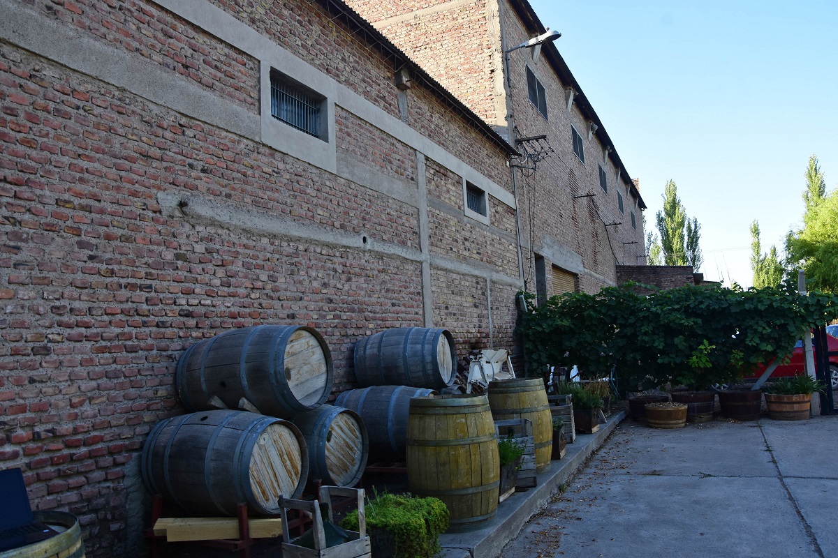 Antigua Bodega Patagónica: pasado y presente de un establecimiento emblema de la vitivinicultura ...