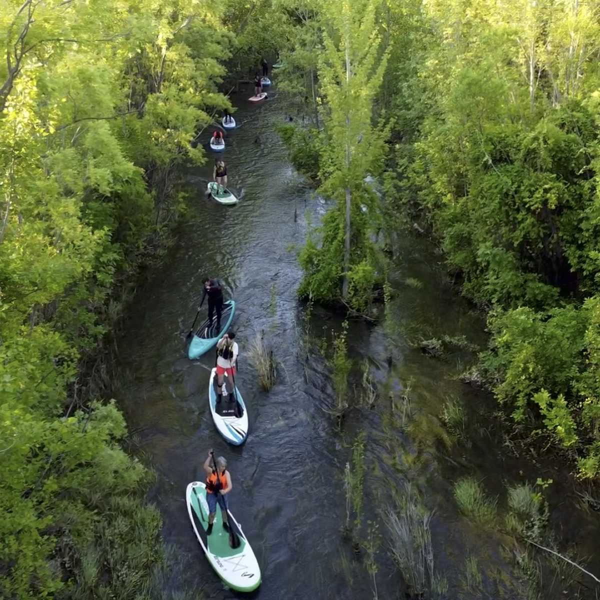 Descubrir los secretos del río Limay desde una tabla de SUP en Neuquén ...