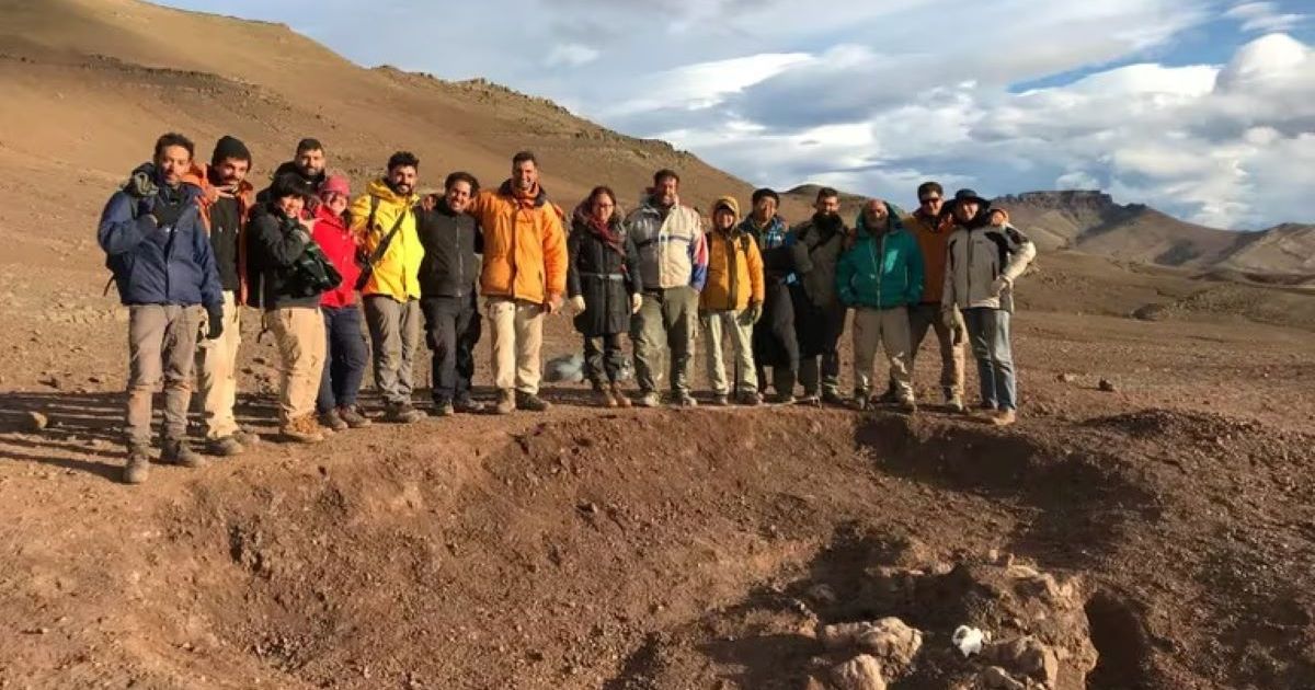 Hallazgo histórico: descubrieron en la Patagonia al mamífero más grande ...