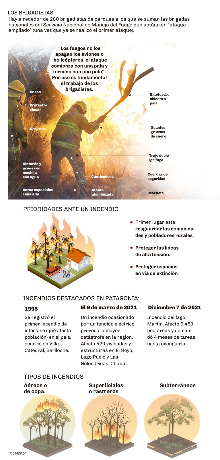 Incendios forestales en la Patagonia, un drama para prevenir y educar ...