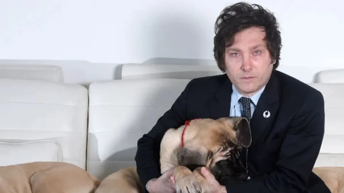 Adónde están los perros mastines de Javier Milei: El dato clave sobre ...