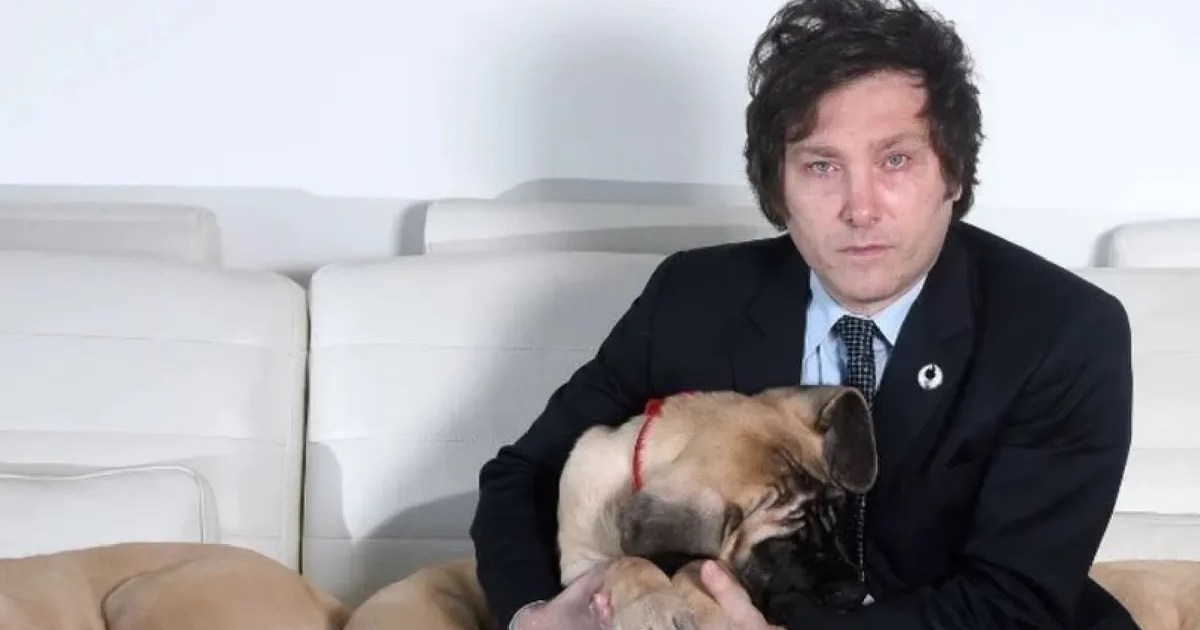 Adónde están los perros mastines de Javier Milei: El dato clave sobre ...