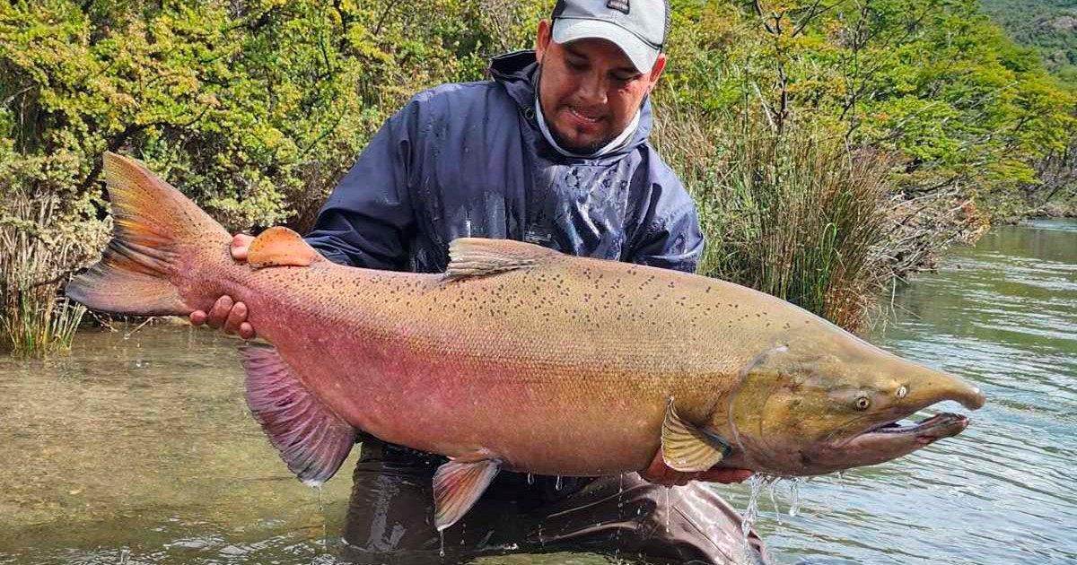 Pescó un salmón de 33 kilos en un paraíso escondido de la Patagonia ...