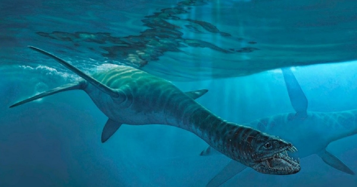 They exhibit a reptile that inspired Nahuelito and the Loch Ness ...