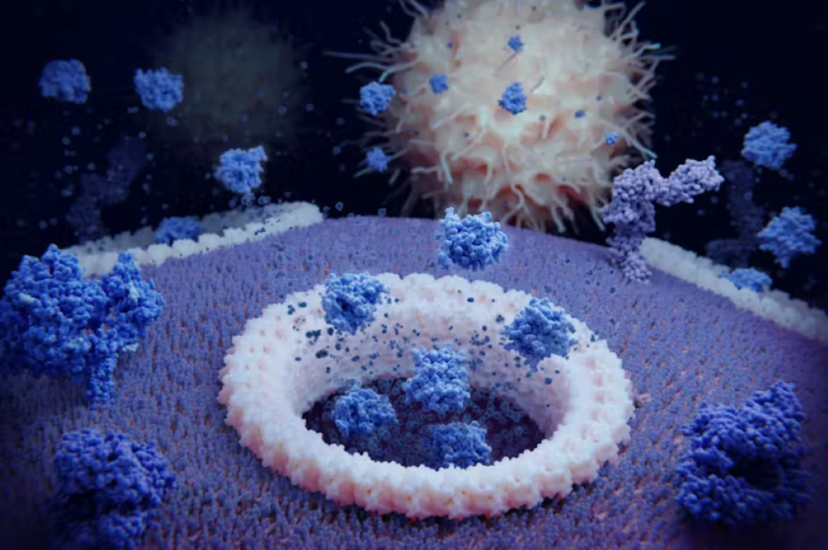 Beneficios y riesgos del inflamasoma, pieza clave de los procesos ...