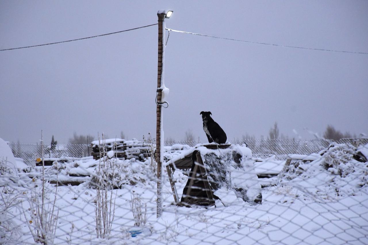 Las fotos que más te van a emocionar, quedó inaugurada la muestra de ...