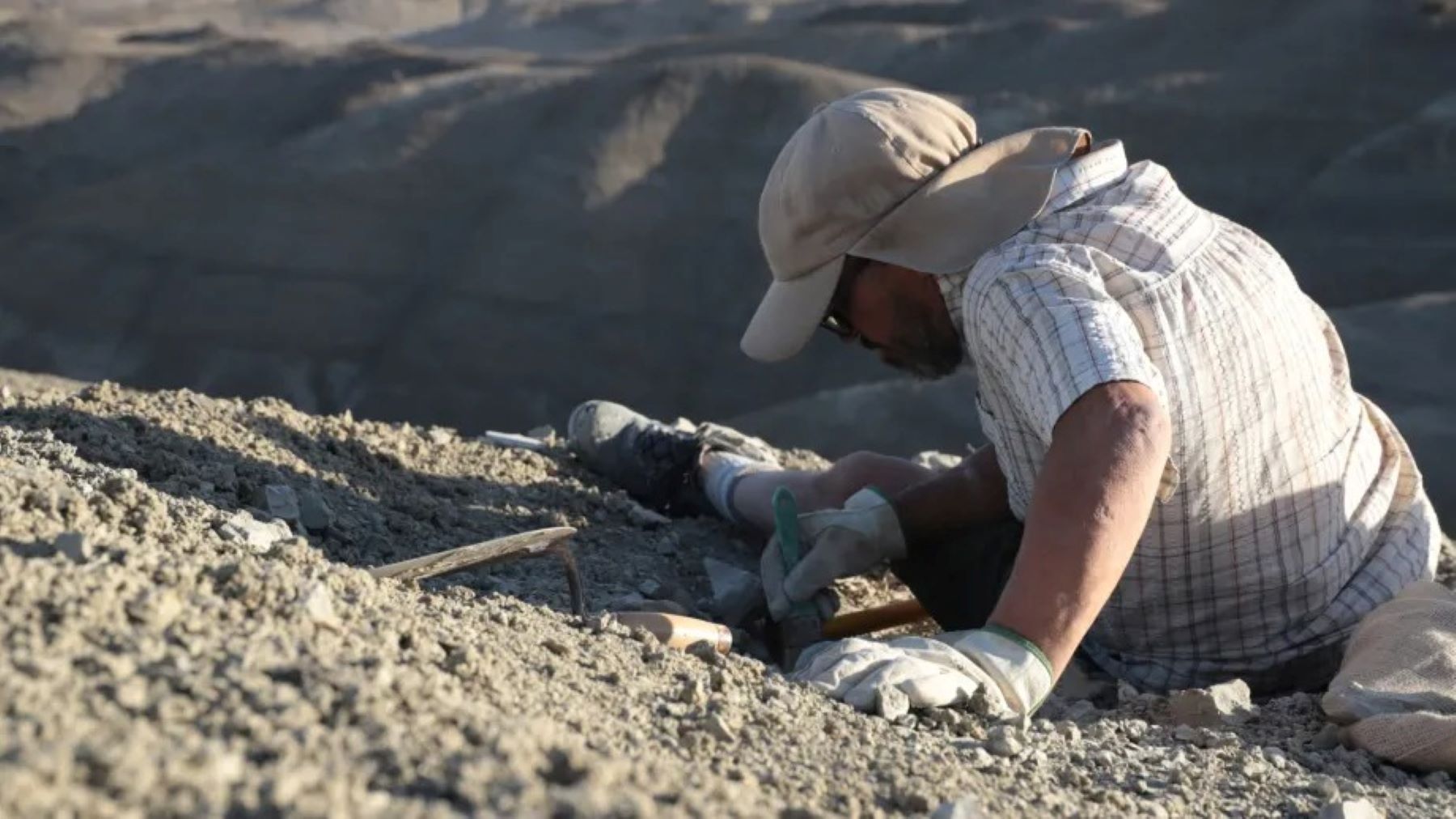 Vivió hace 69 millones de años en la Patagonia, se llama Koleken ...