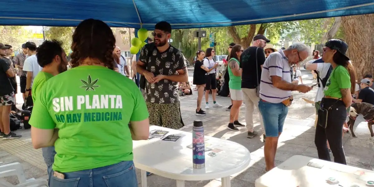 Marcha Mundial de la Marihuana: en Argentina con fuerte reclamo por el ...