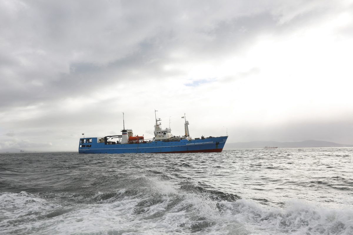 Descubrieron la reserva de petróleo más grande del mundo y está en la ...