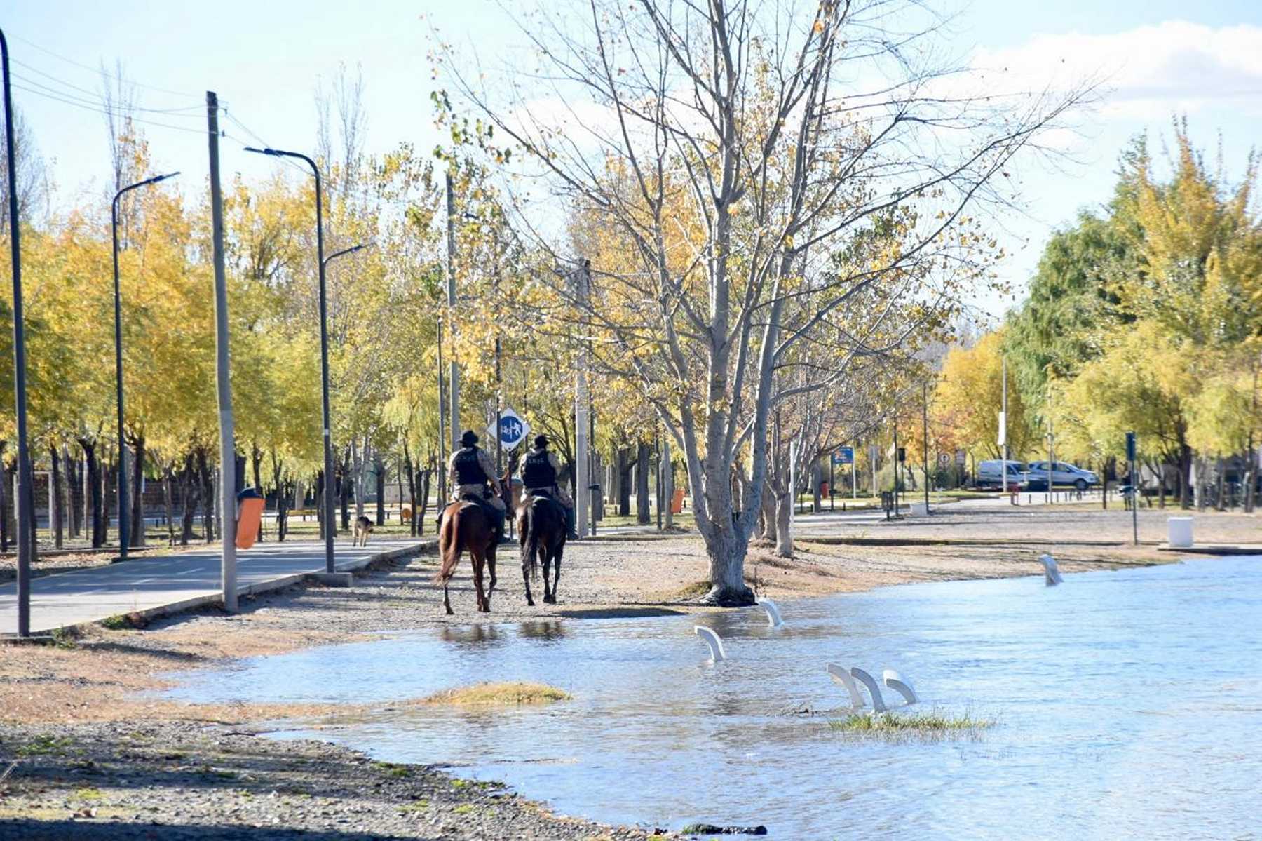 Video | La crecida del río Limay dejó árboles y costas inundadas en ...