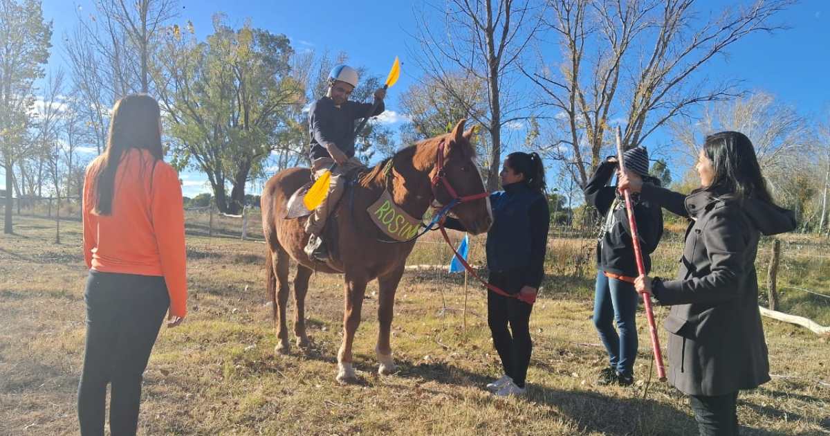 Piden ayuda para refugiar a tres caballos en Choele Choel que hacen ...