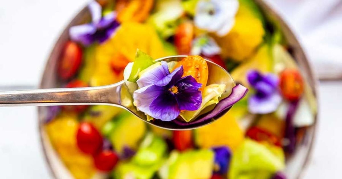 Cinco flores comestibles para agregar a tus comidas y que sean más ...