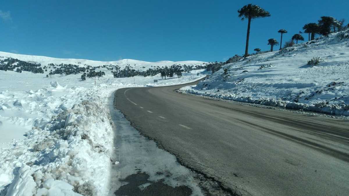 Cómo están los pasos internacionales entre Argentina y Chile este ...