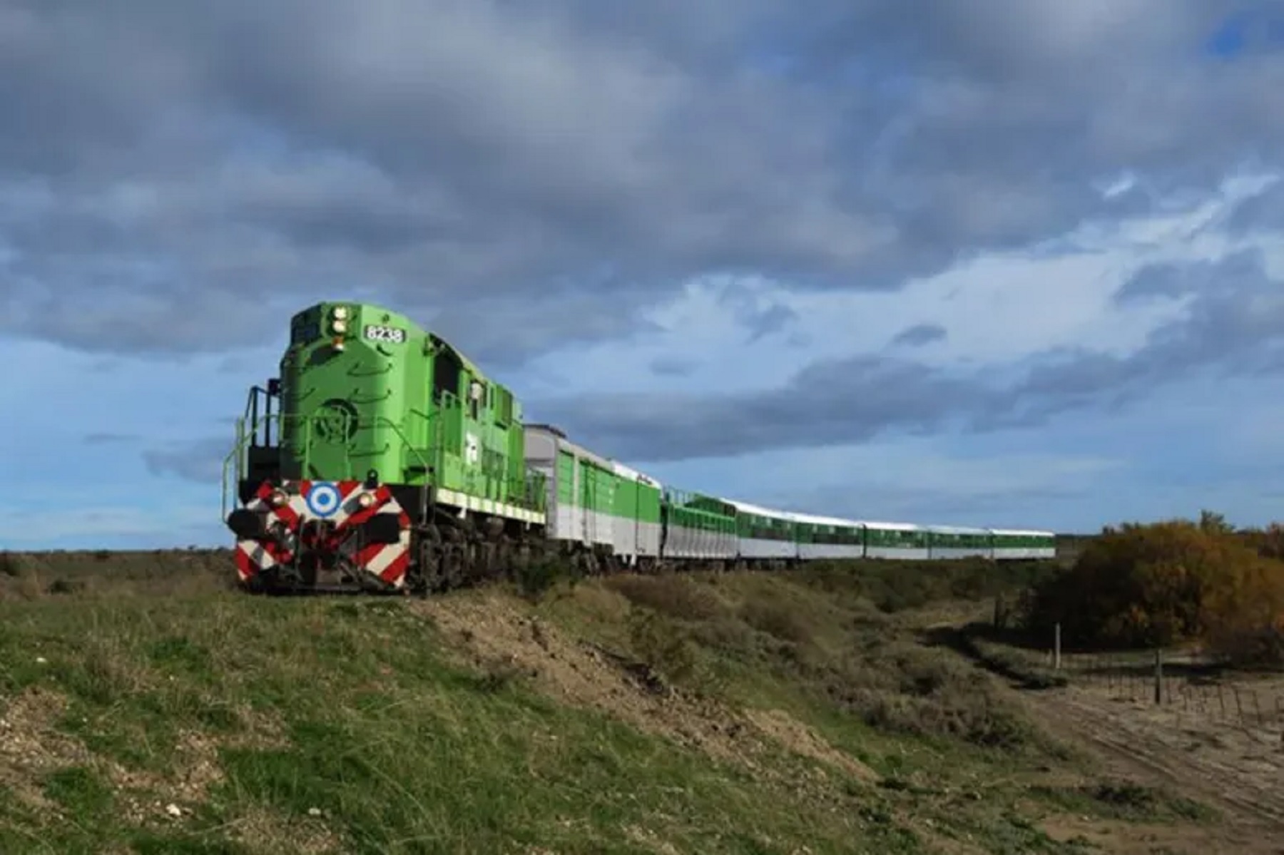 El Tren Patagónico atropelló un caballo camino a Bariloche: enviaron ...