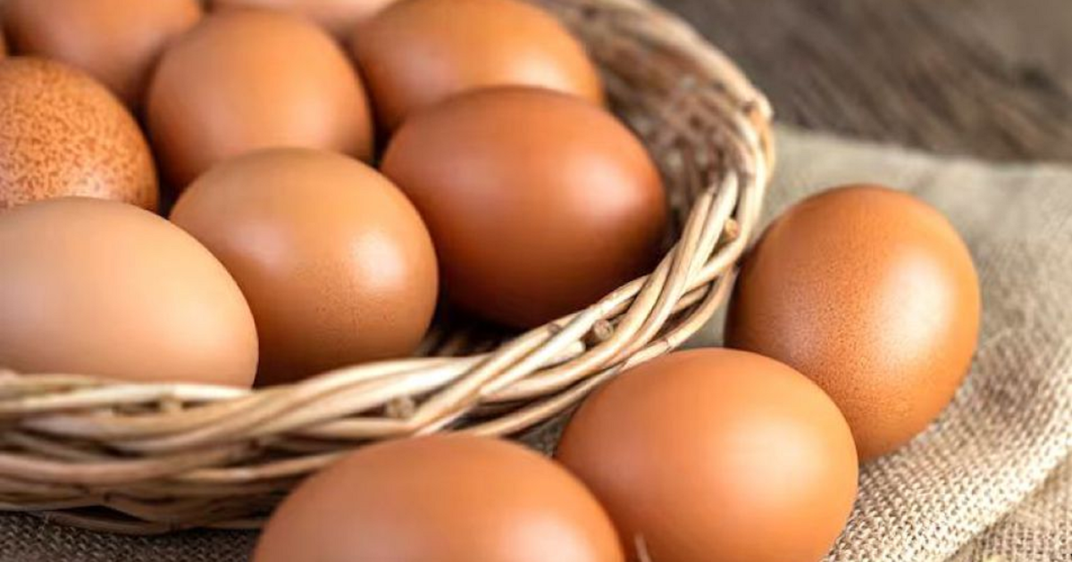 Dos trucos sencillos para saber si un huevo está podrido - Diario Río Negro