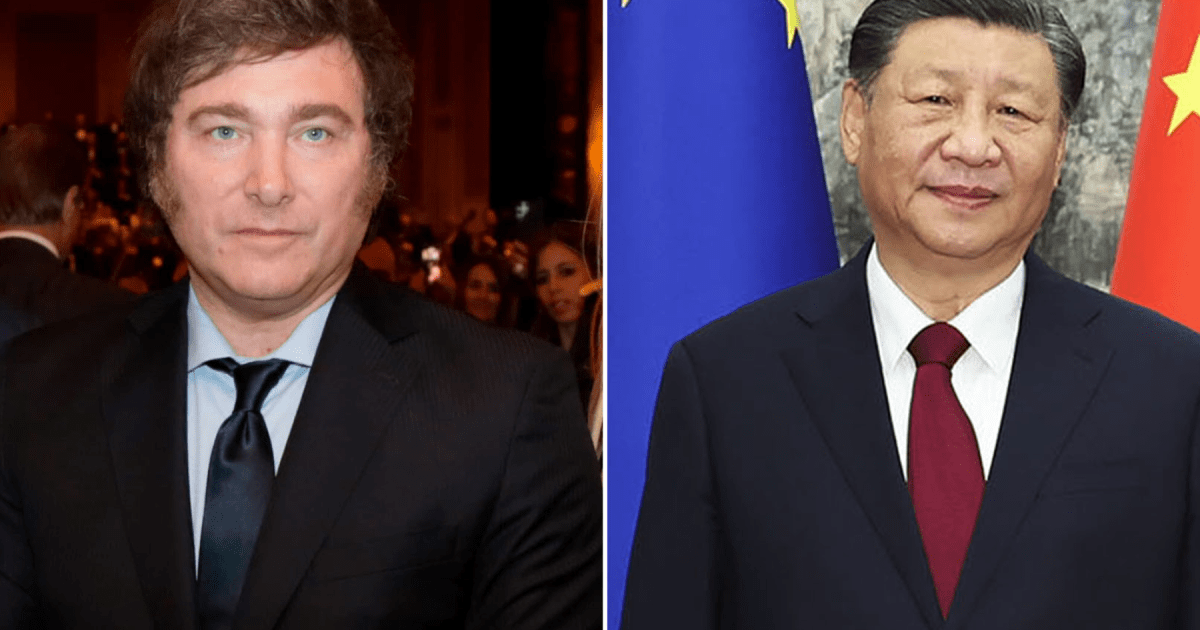 Acercamiento de Milei a China: ¿hacia un nuevo “realismo periférico ...