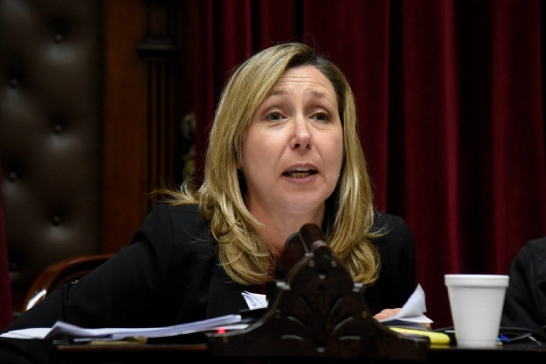La diputada Myriam Bregman dijo que «Milei tiene más millas que Marley ...
