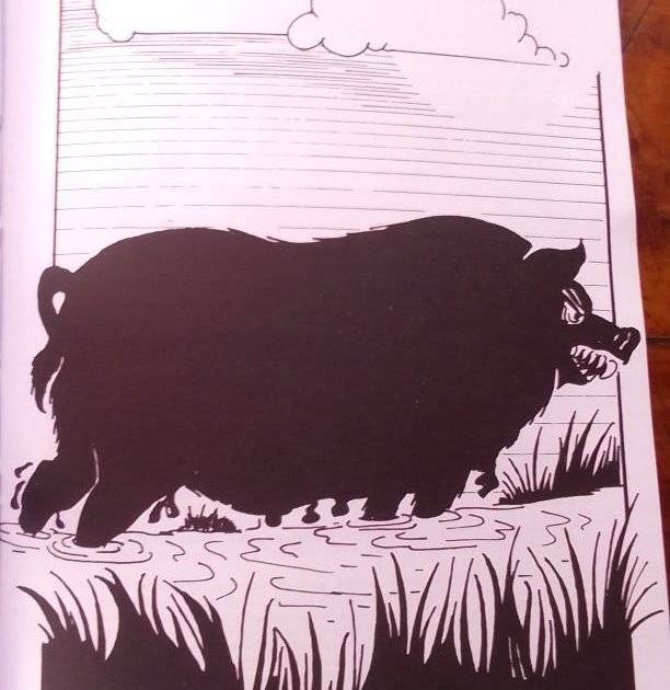 La leyenda del «chancho negro» que asusta en el paraje Punta de Agua ...