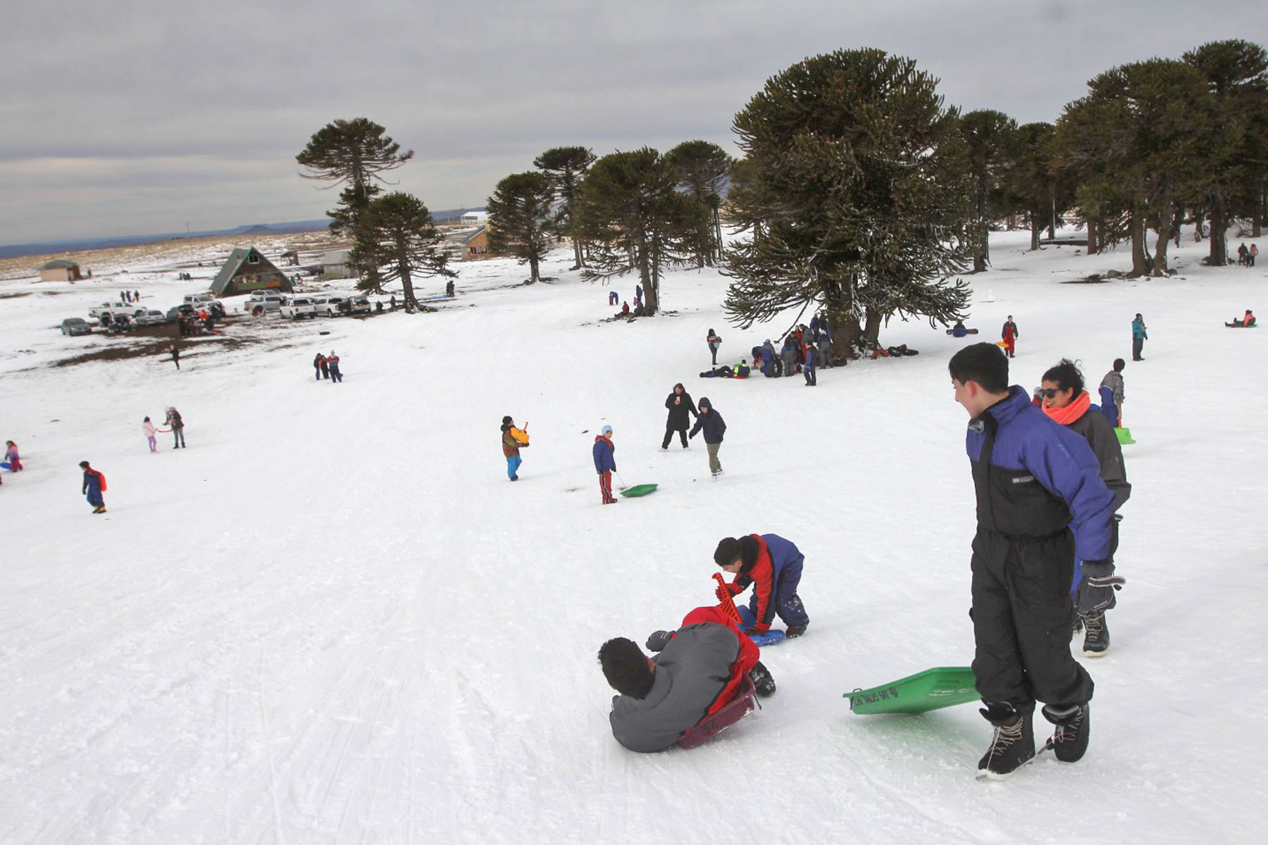 Primeros Pinos en vacaciones de invierno: cuánto cuesta alquilar ...