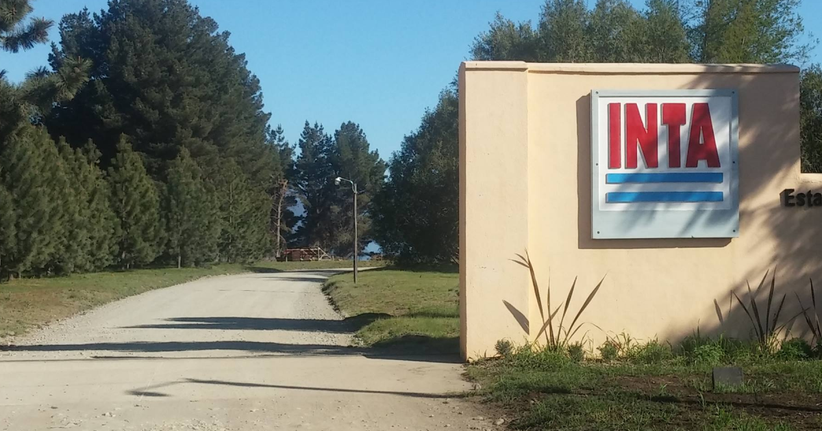 Plan de modernización de INTA: aseguran que podría haber más de 40 ...