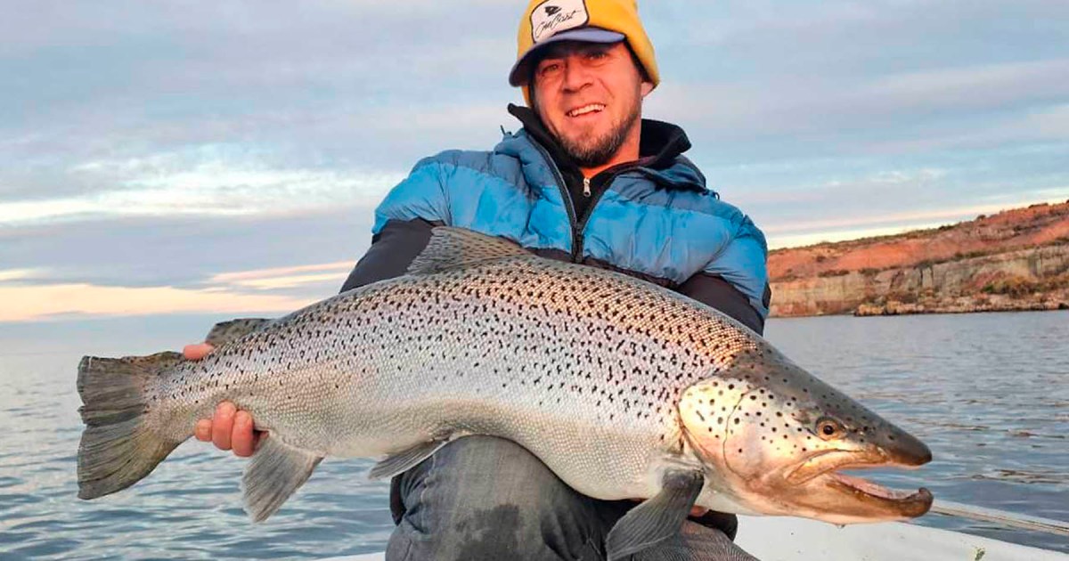 «La trucha del año»: Así pescó una de 11 kilos en un lago de Neuquén ...