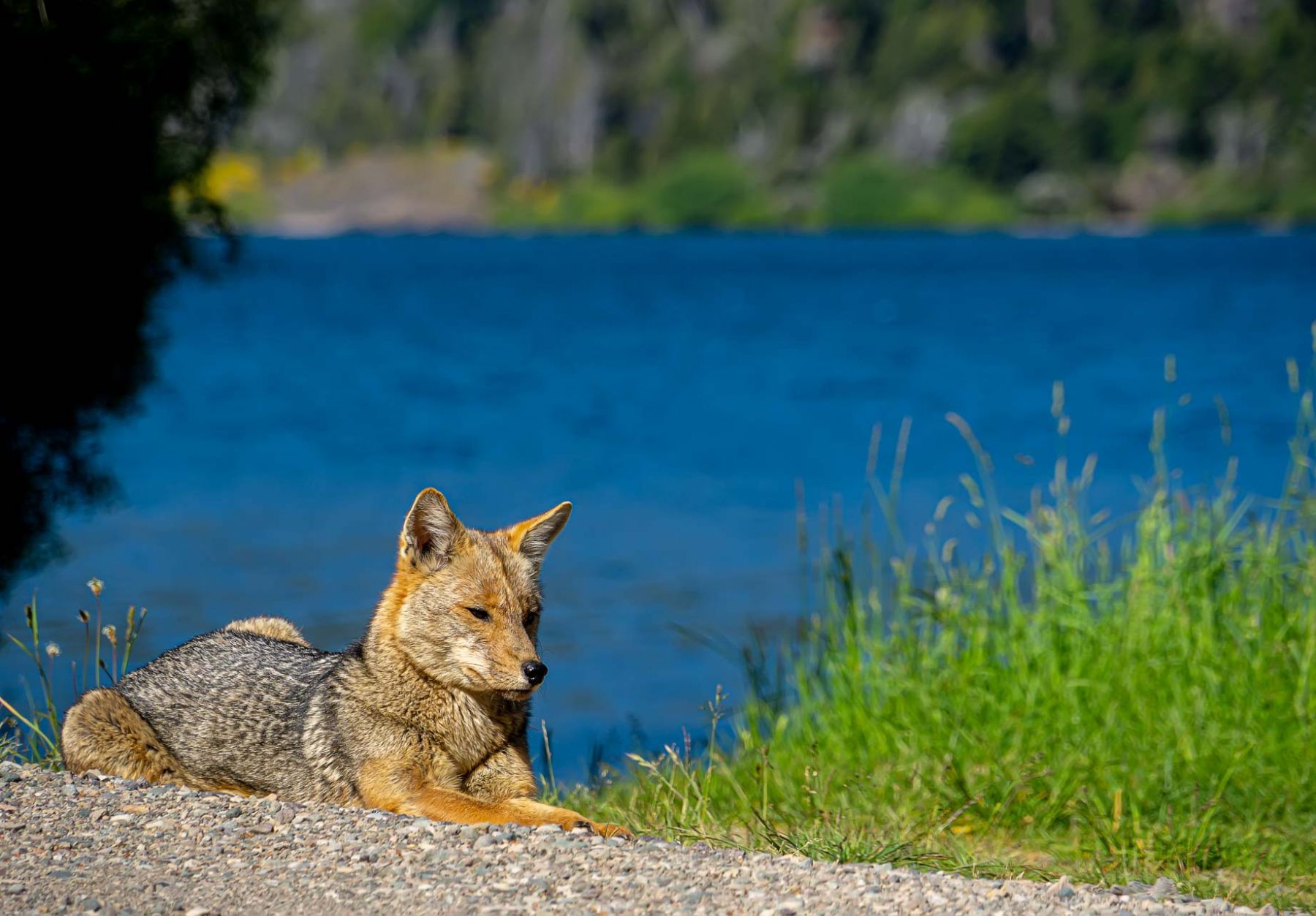 Chubut: viaje al tesoro escondido de la Patagonia de lagos, montañas y ...