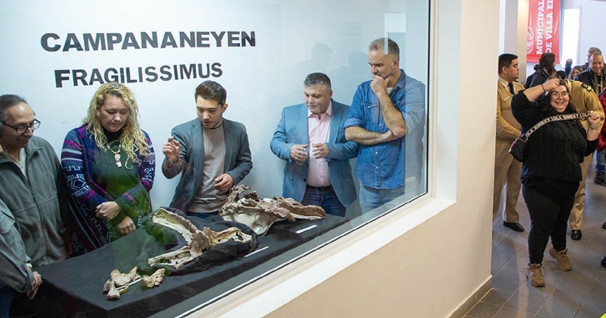 Cómo era el Campananeyen, el dinosaurio que vivió hace 90 millones de ...