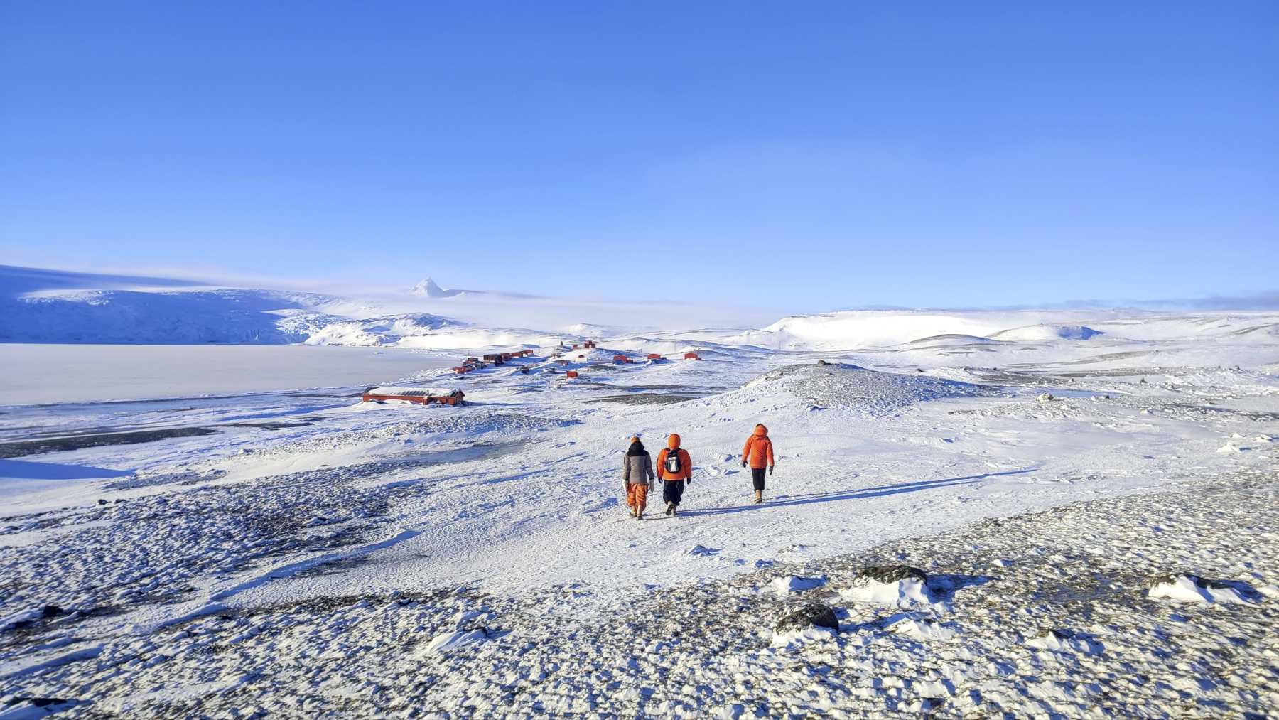 Espectaculares fotos del trabajo científico en la Antártida Argentina ...