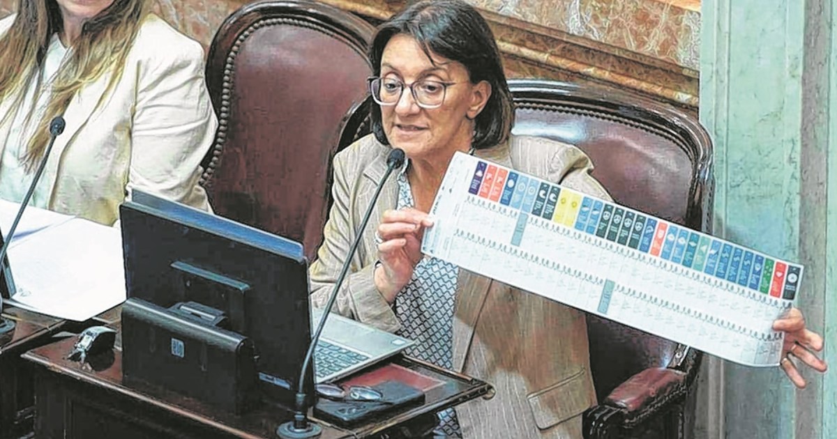 Río Negro en alerta por el futuro de la Boleta Única de Papel: la ...