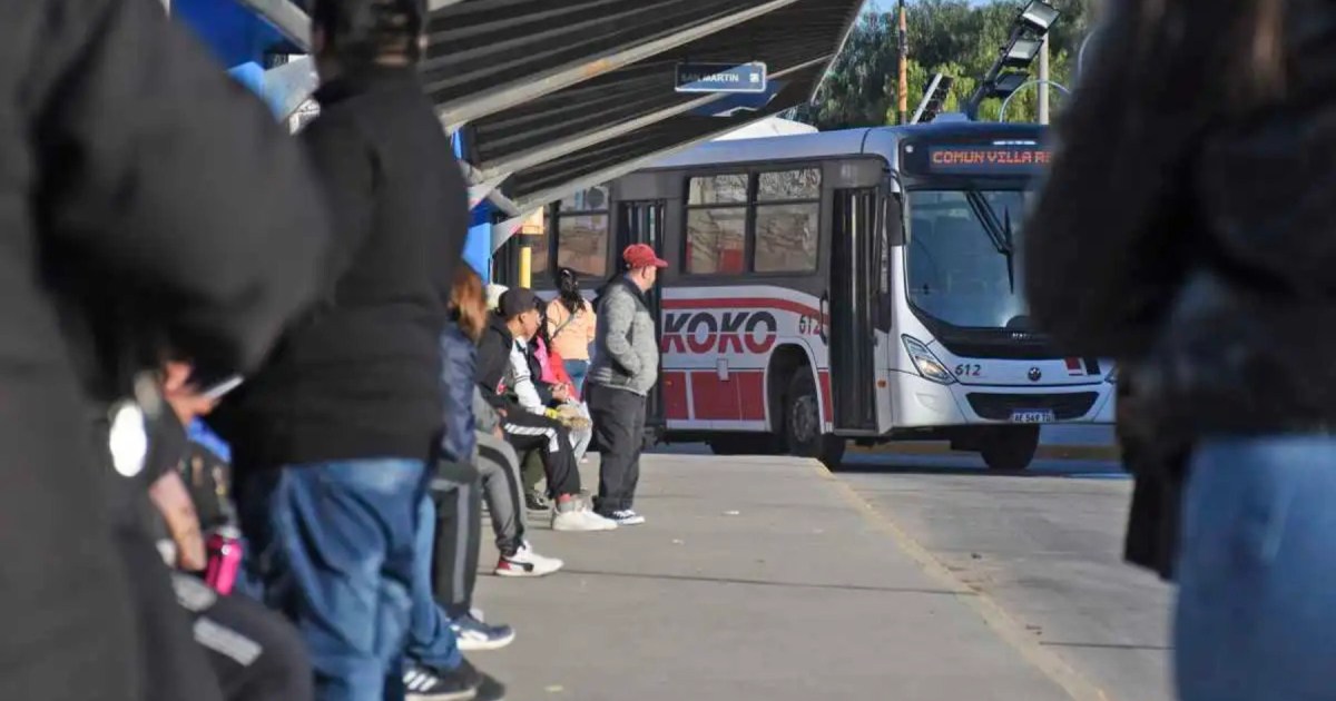 Boleto estudiantil en Río Negro: cómo hacer el nuevo registro para el ...