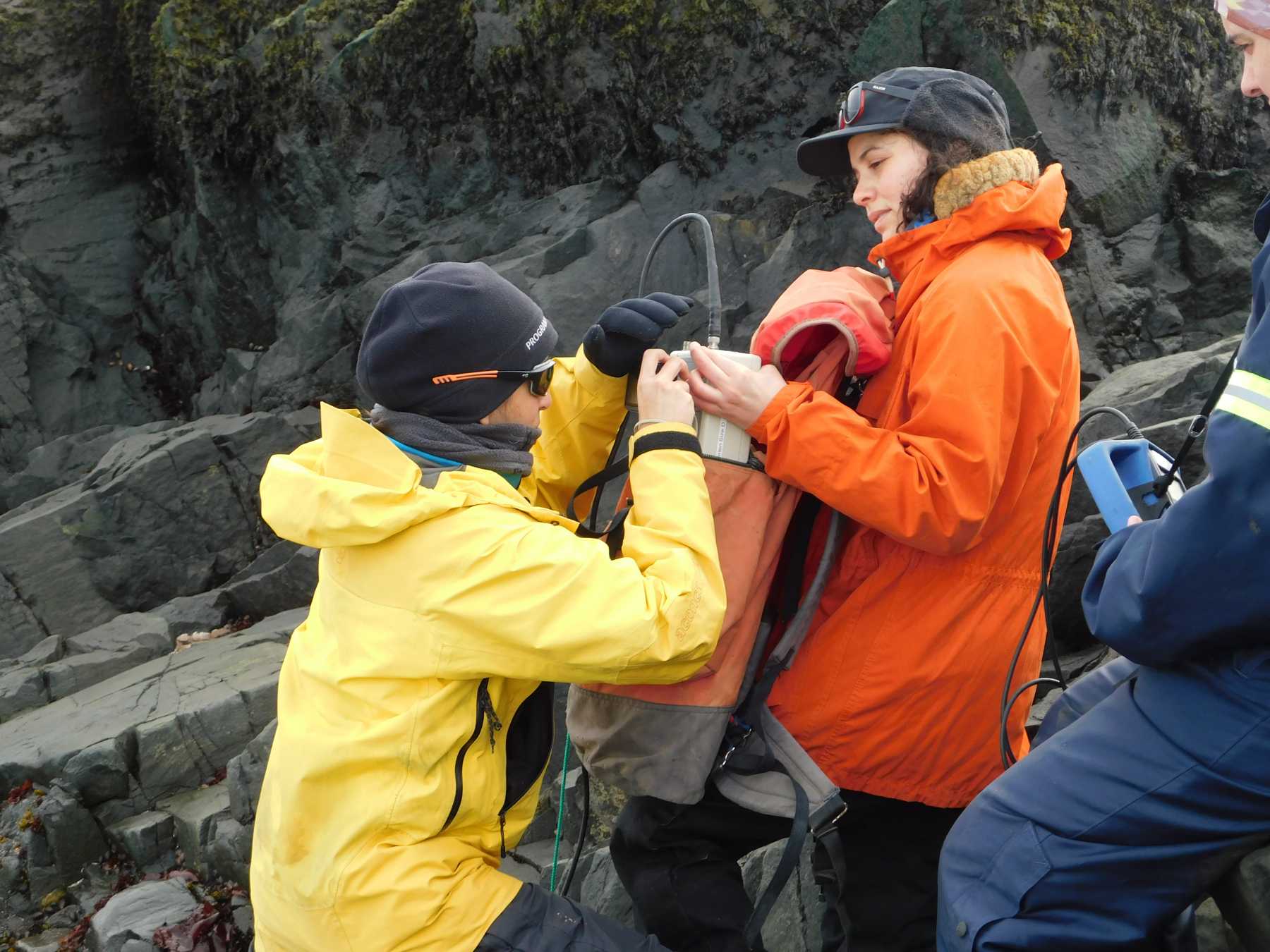 Espectaculares fotos del trabajo científico en la Antártida Argentina ...