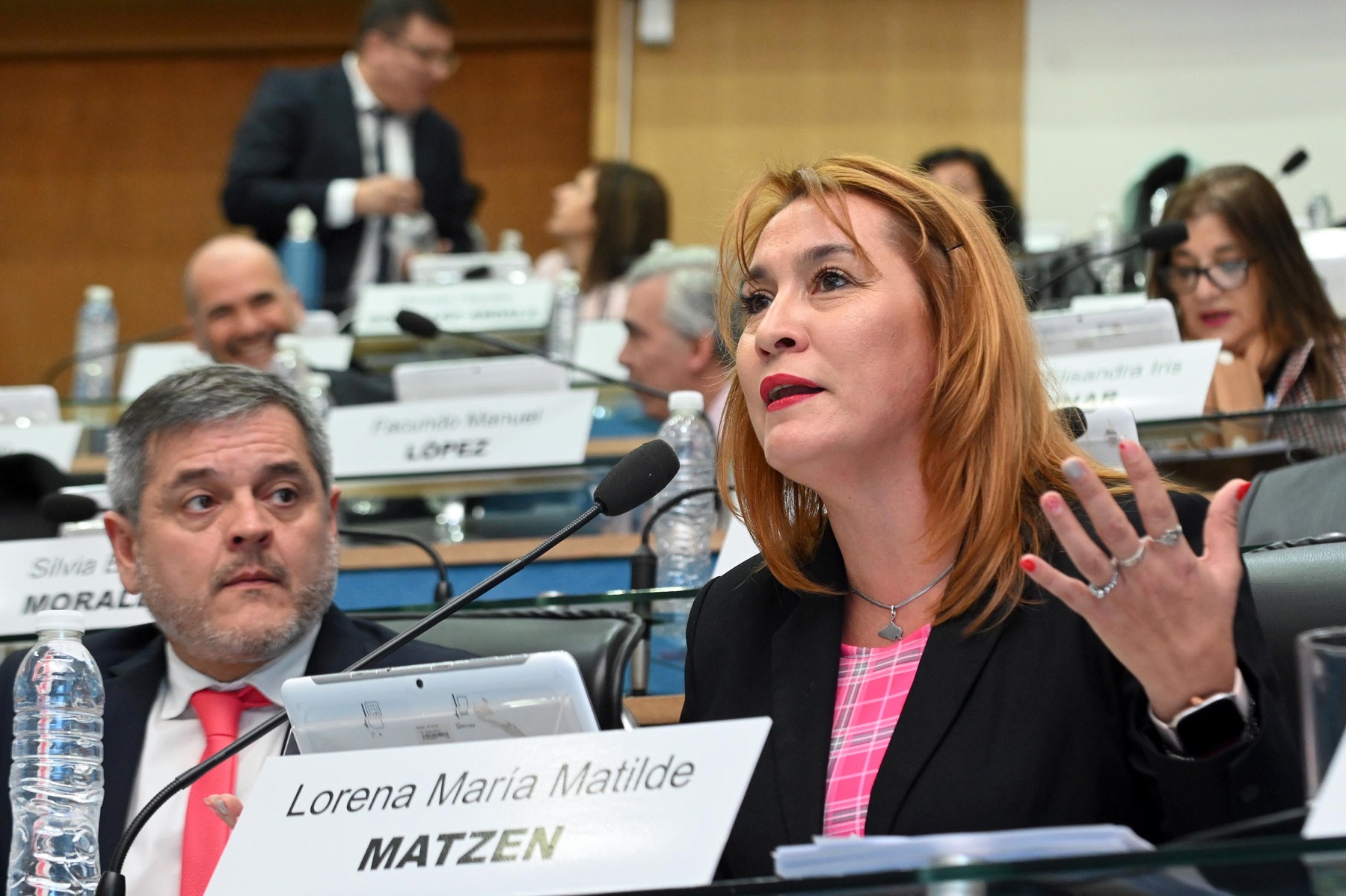 En Río Negro Lorena Matzen retomó la propuesta de la boleta única de ...
