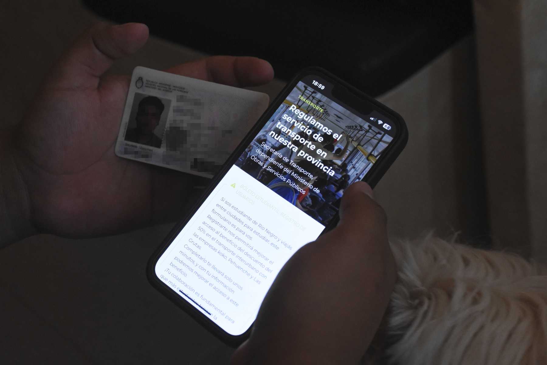 Boleto estudiantil en Río Negro: el pedido por la gratuidad y los ...