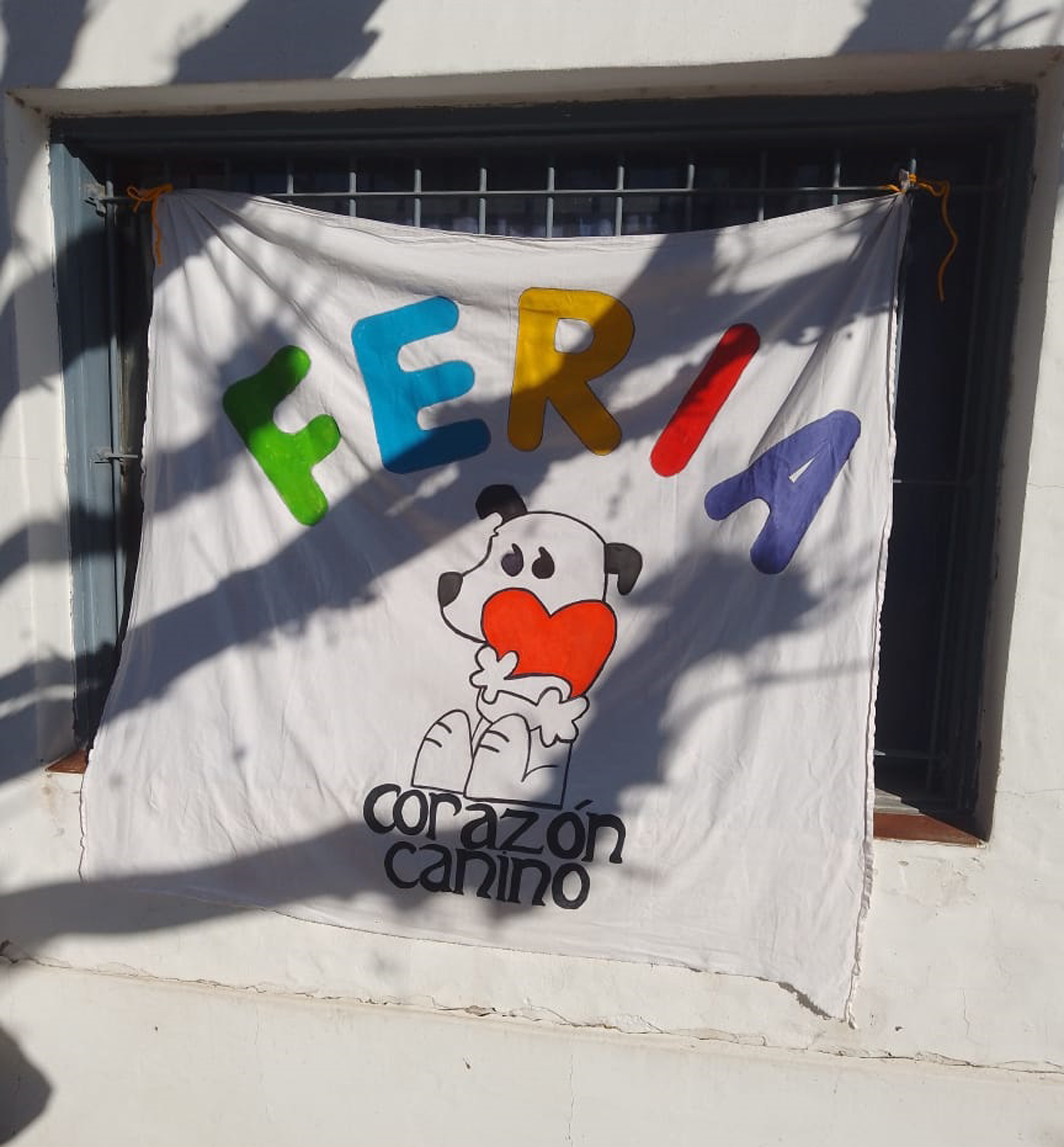 Manos que salvan a los perros de la calle en riesgo: la fuerza de un ...